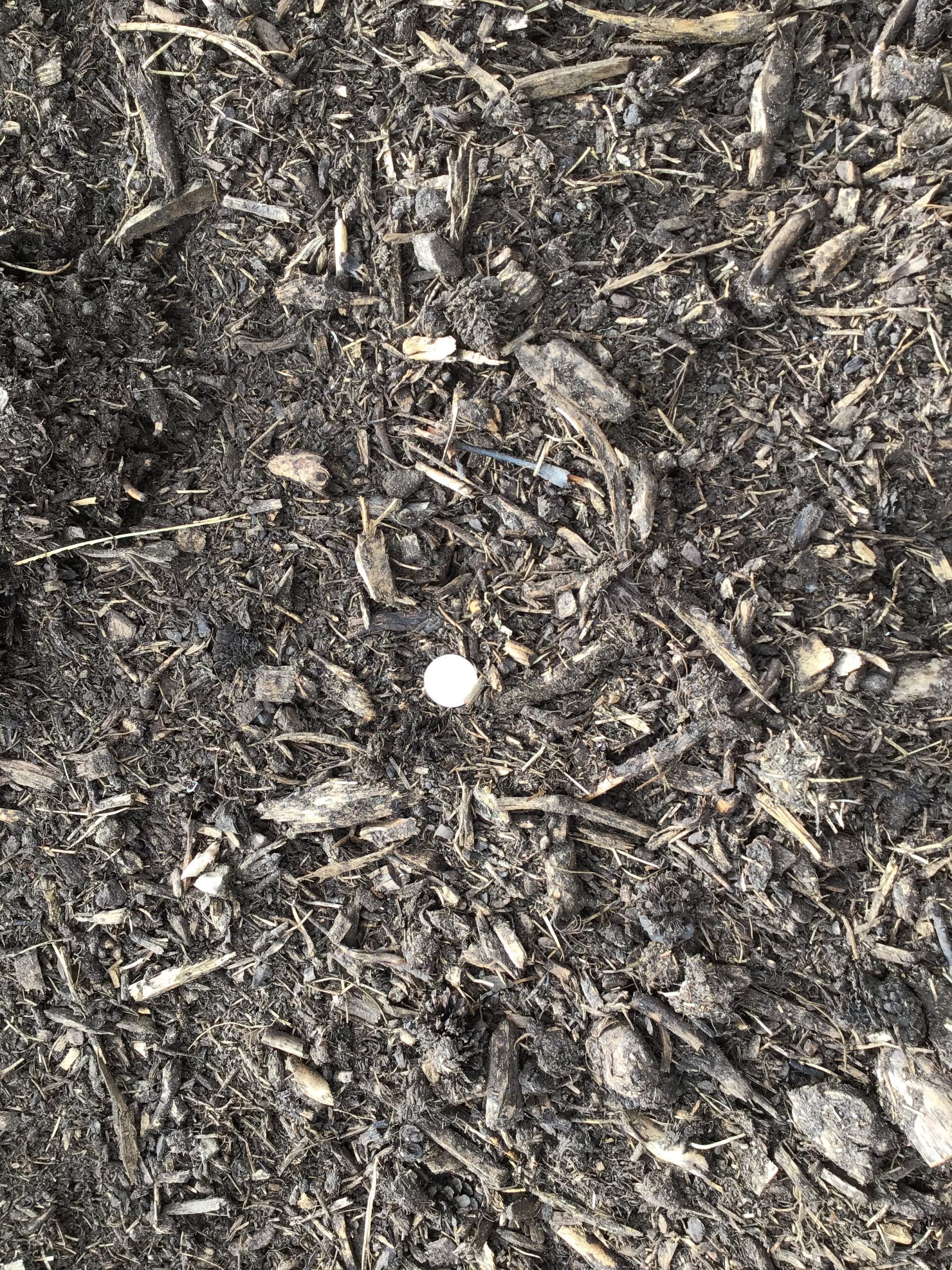 Compost – Sunriver Utilities Homepage